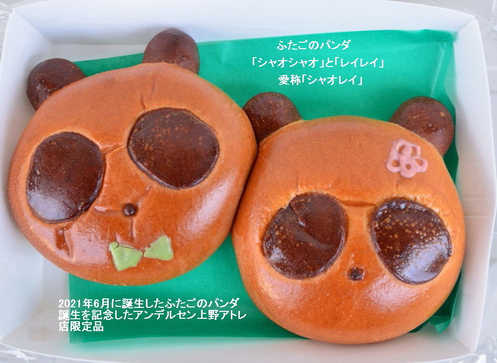 パンダ パンダ パンダ: 下手の横好き写真