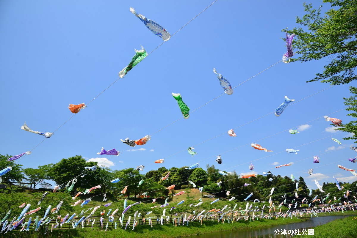 こいのぼり: 下手の横好き写真